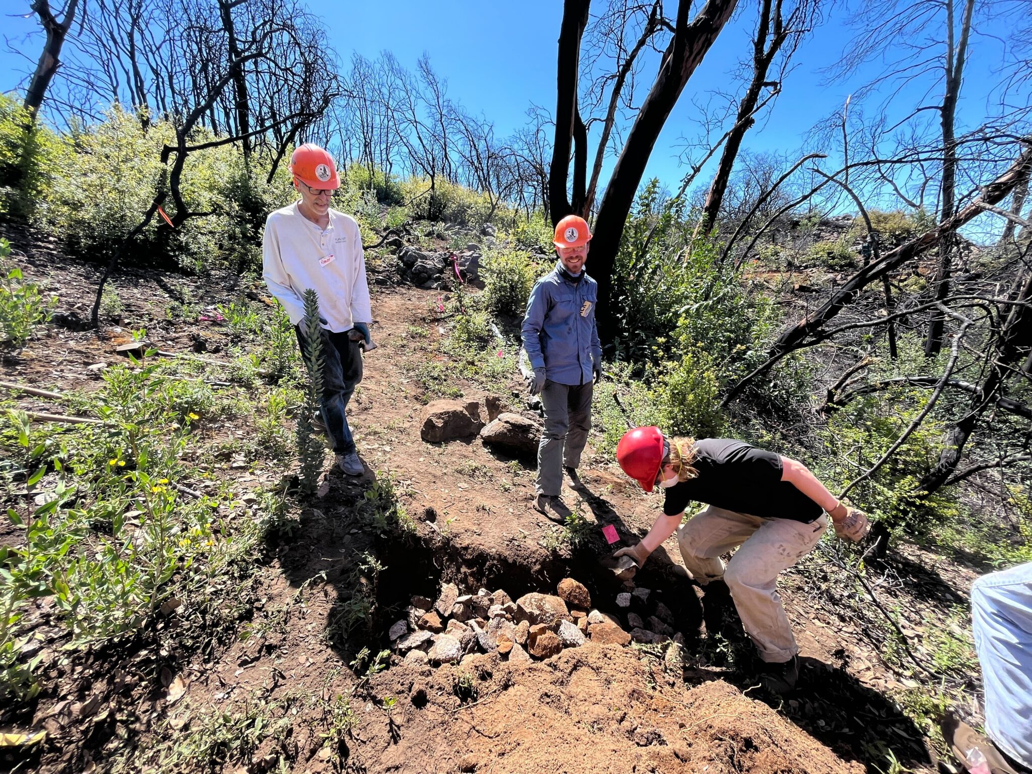Dig Day Celebration – Nonprofit Connection (NPC) Santa Cruz County